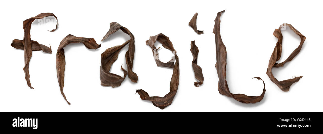 Letter-shaped dry leaves assembled in word fragile isolated on white ...