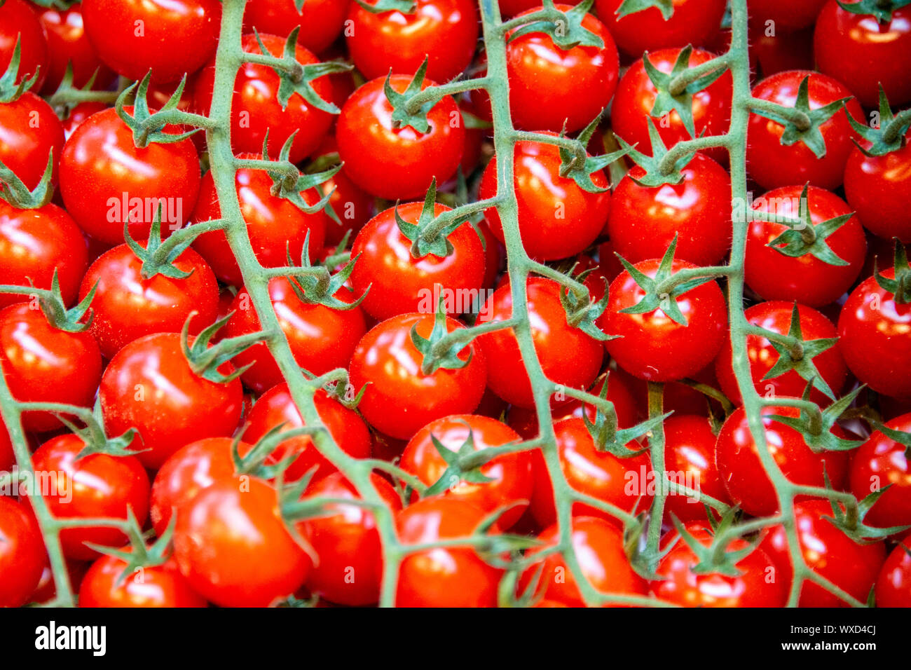Tomatoes at the market display stall Stock Photo - Alamy