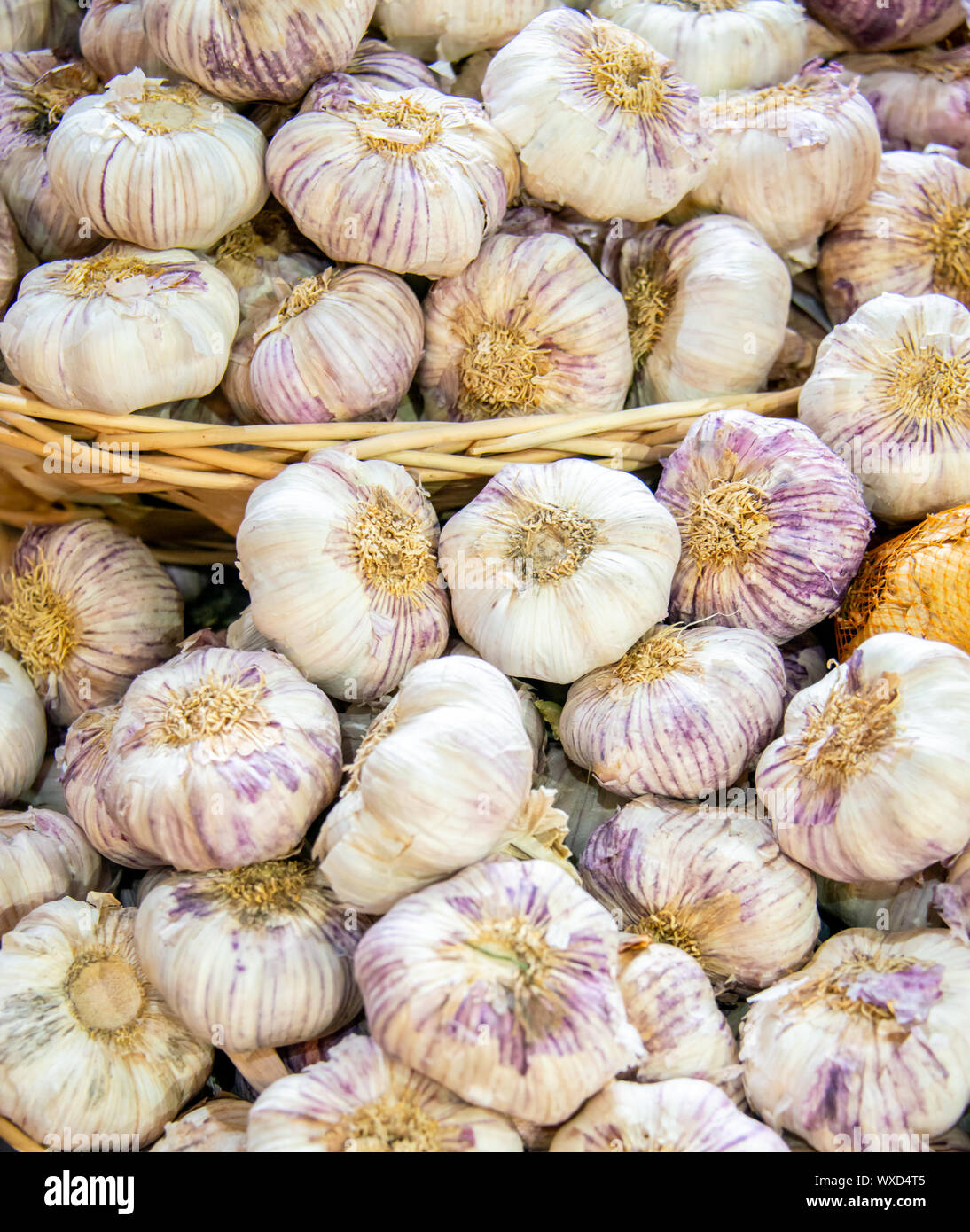 Garlic at the market display stall Stock Photo - Alamy