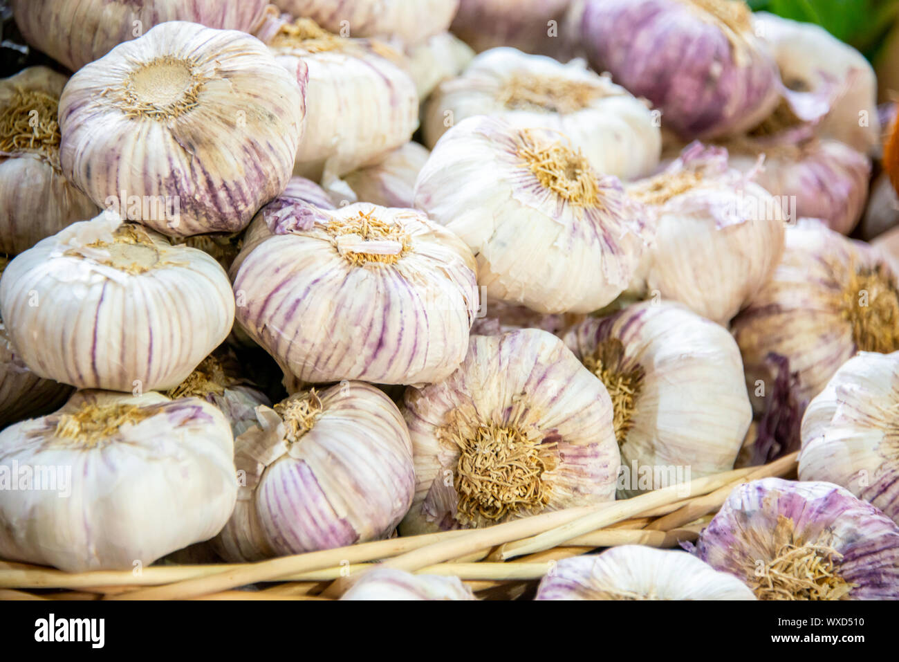 Garlic at the market display stall Stock Photo - Alamy