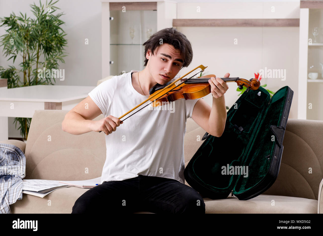Young musician man practicing playing violin at home Stock Photo - Alamy