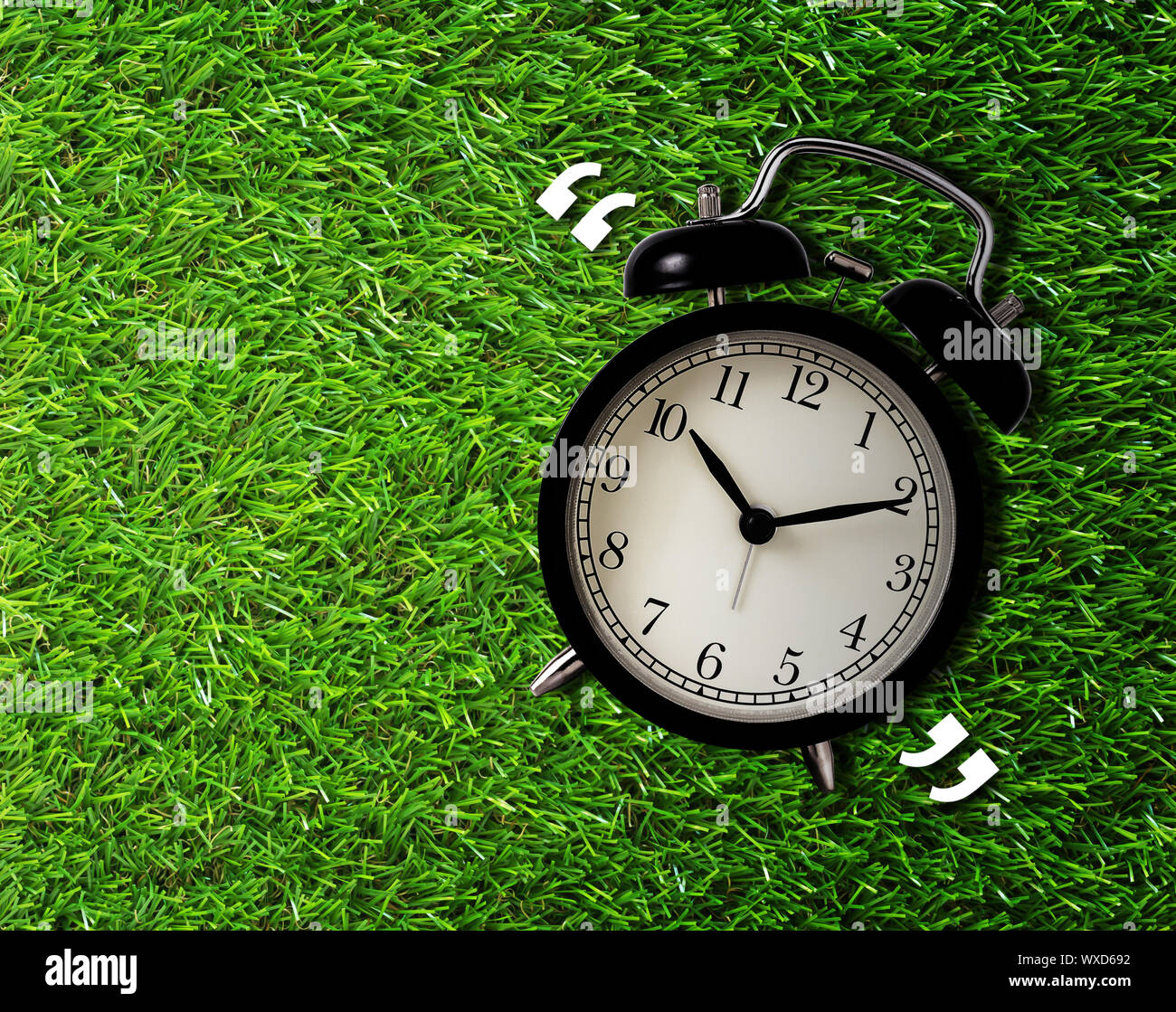 Time management concept, business planning, alarm clock on green grass ...