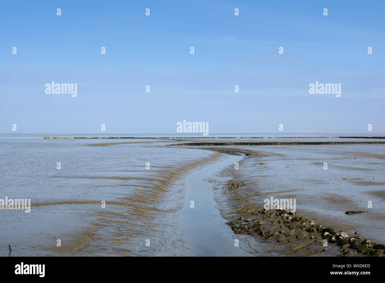 Tidal Channel High Resolution Stock Photography and Images - Alamy