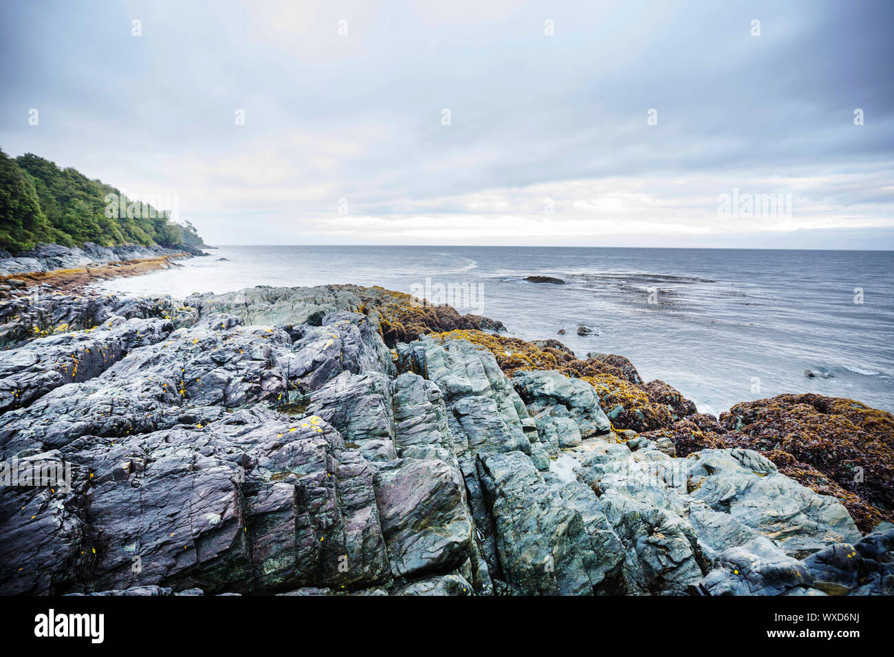 Ocean coast in Chile Stock Photo - Alamy
