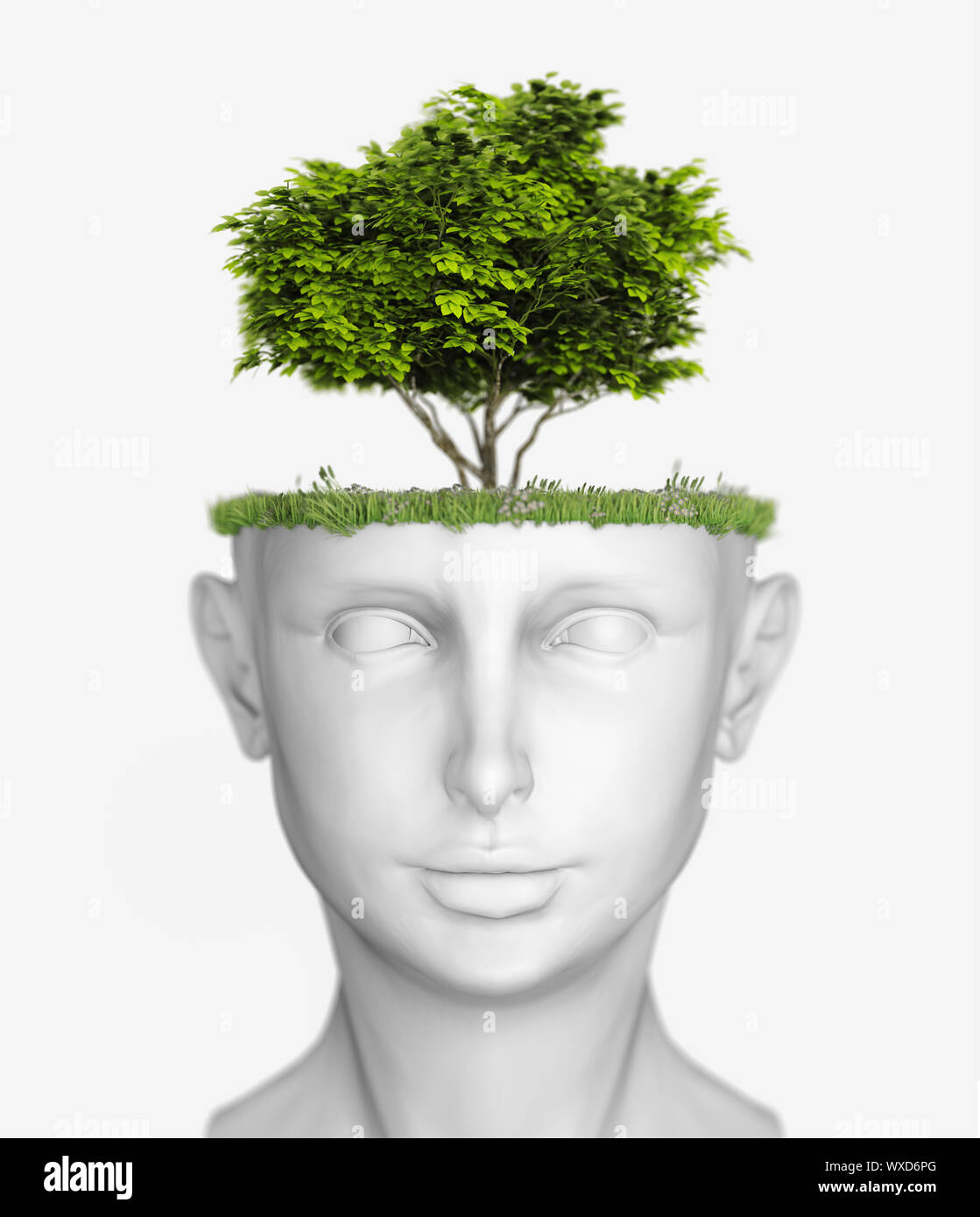 white human head with tree (3D concept Stock Photo - Alamy