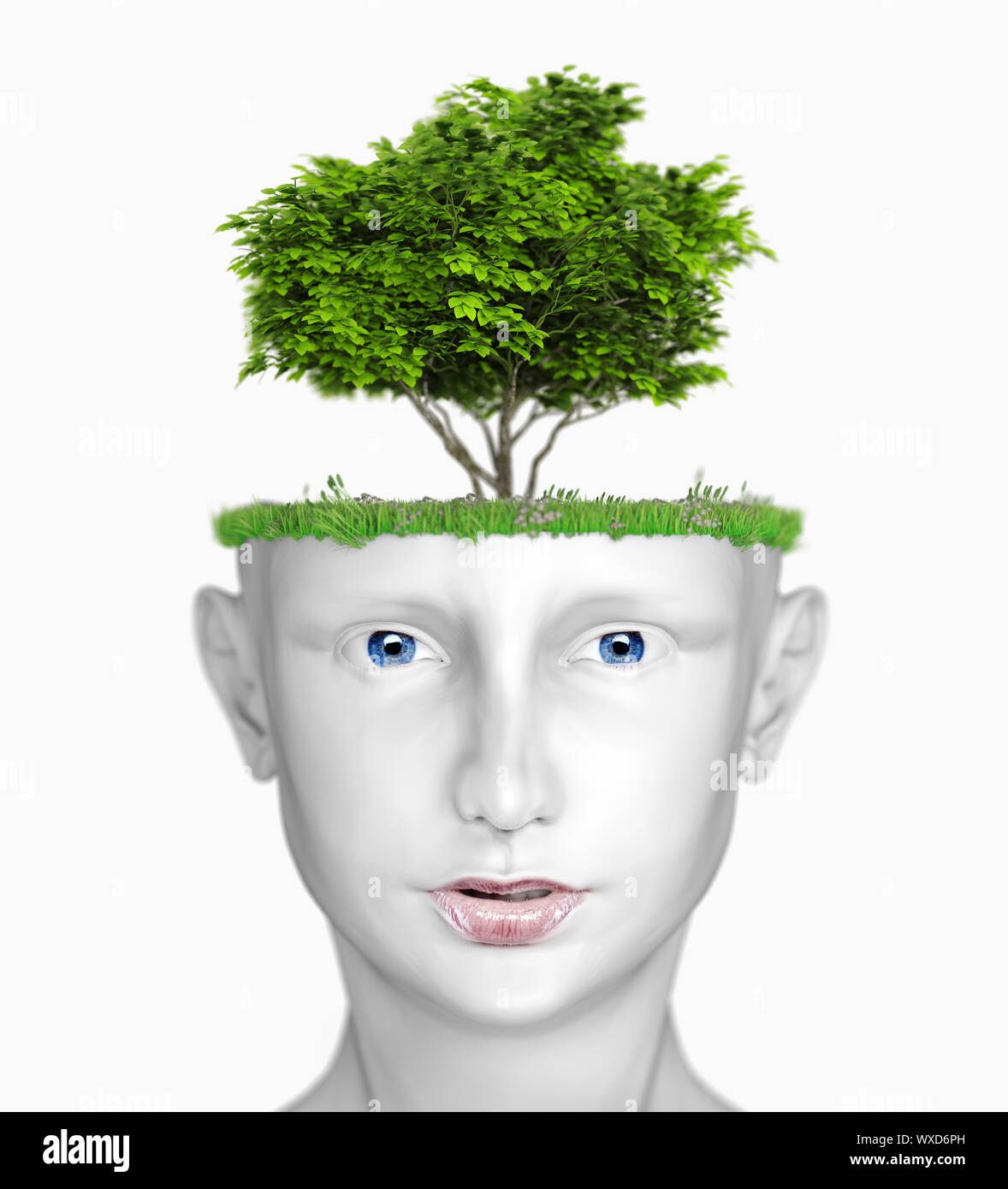 Intellect tree hi-res stock photography and images - Alamy