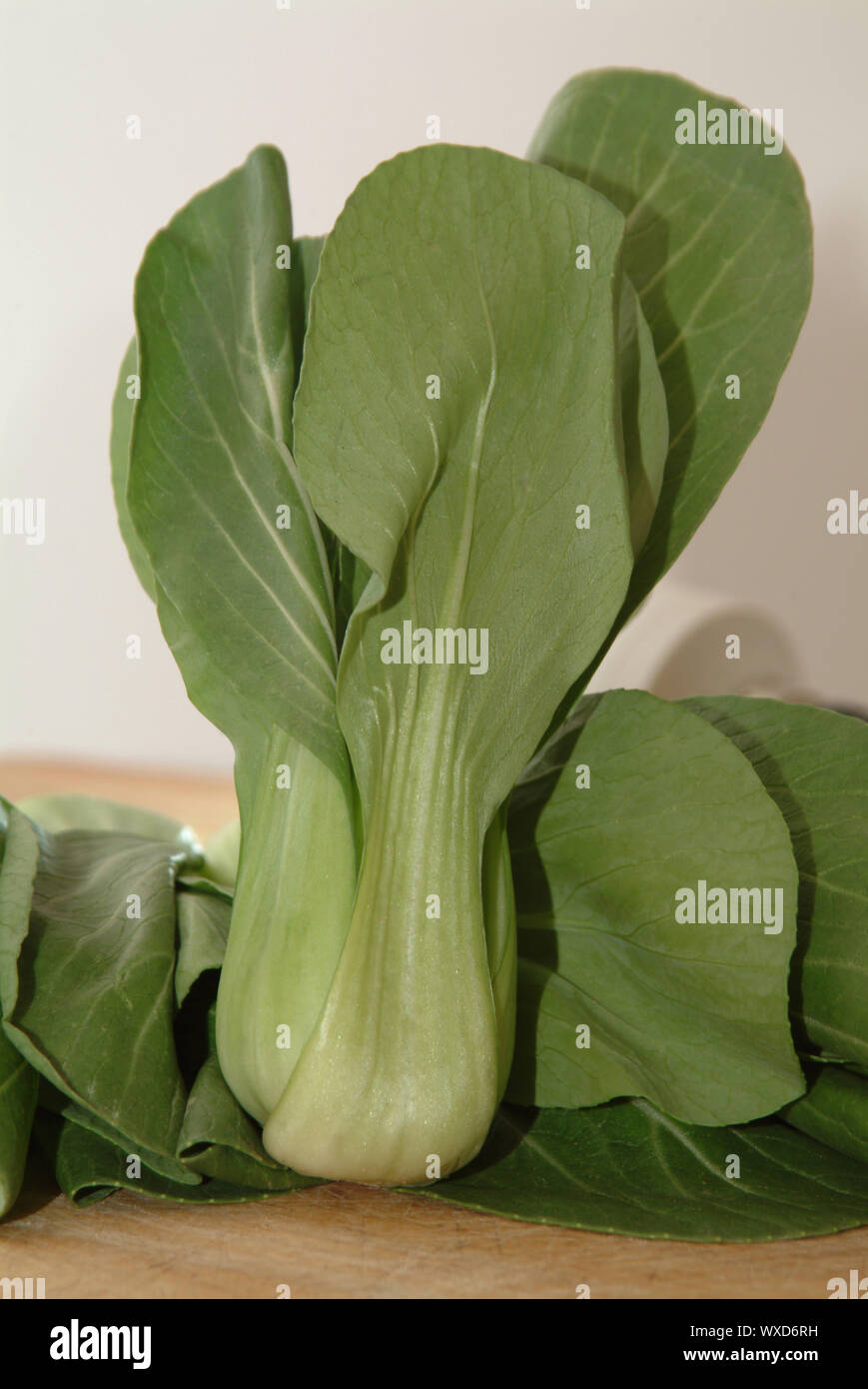 Pak choi bio hi-res stock photography and images - Alamy