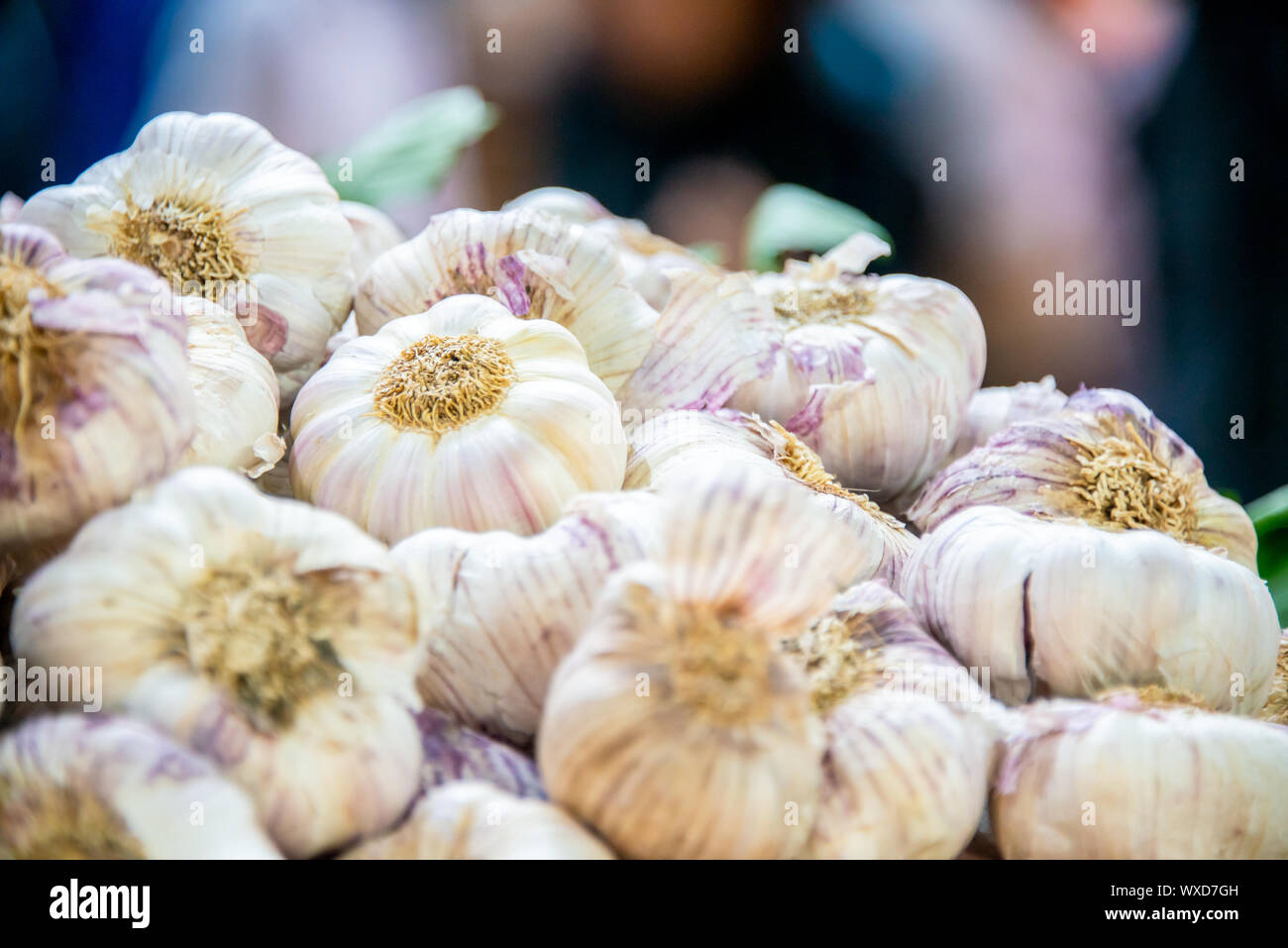Garlic at the market display stall Stock Photo - Alamy