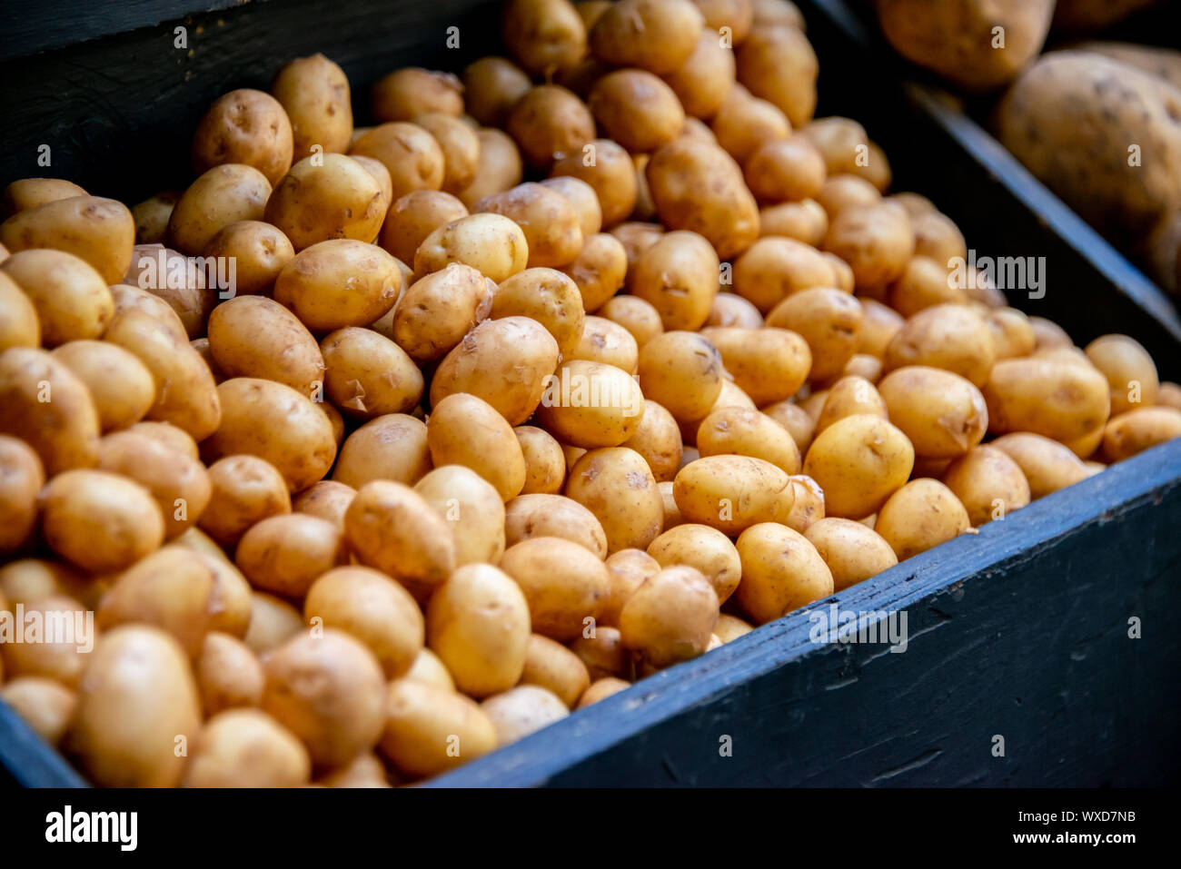 Potatoe variety hi-res stock photography and images - Alamy
