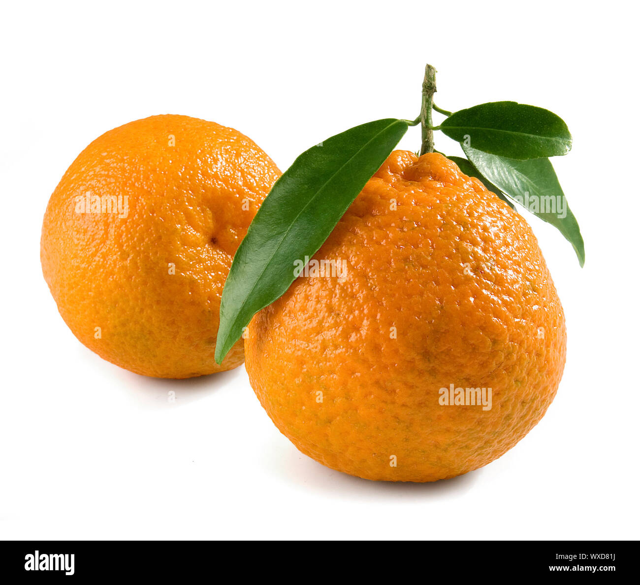Two tangerines with green leaf on the white background Stock Photo - Alamy