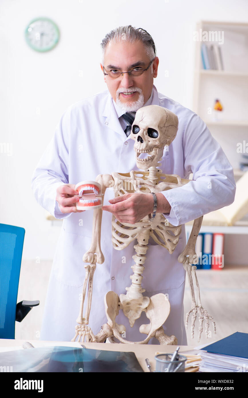 Denture skeleton hi-res stock photography and images - Alamy