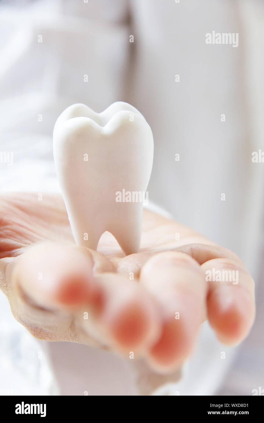 Hand holding molar hi-res stock photography and images - Alamy