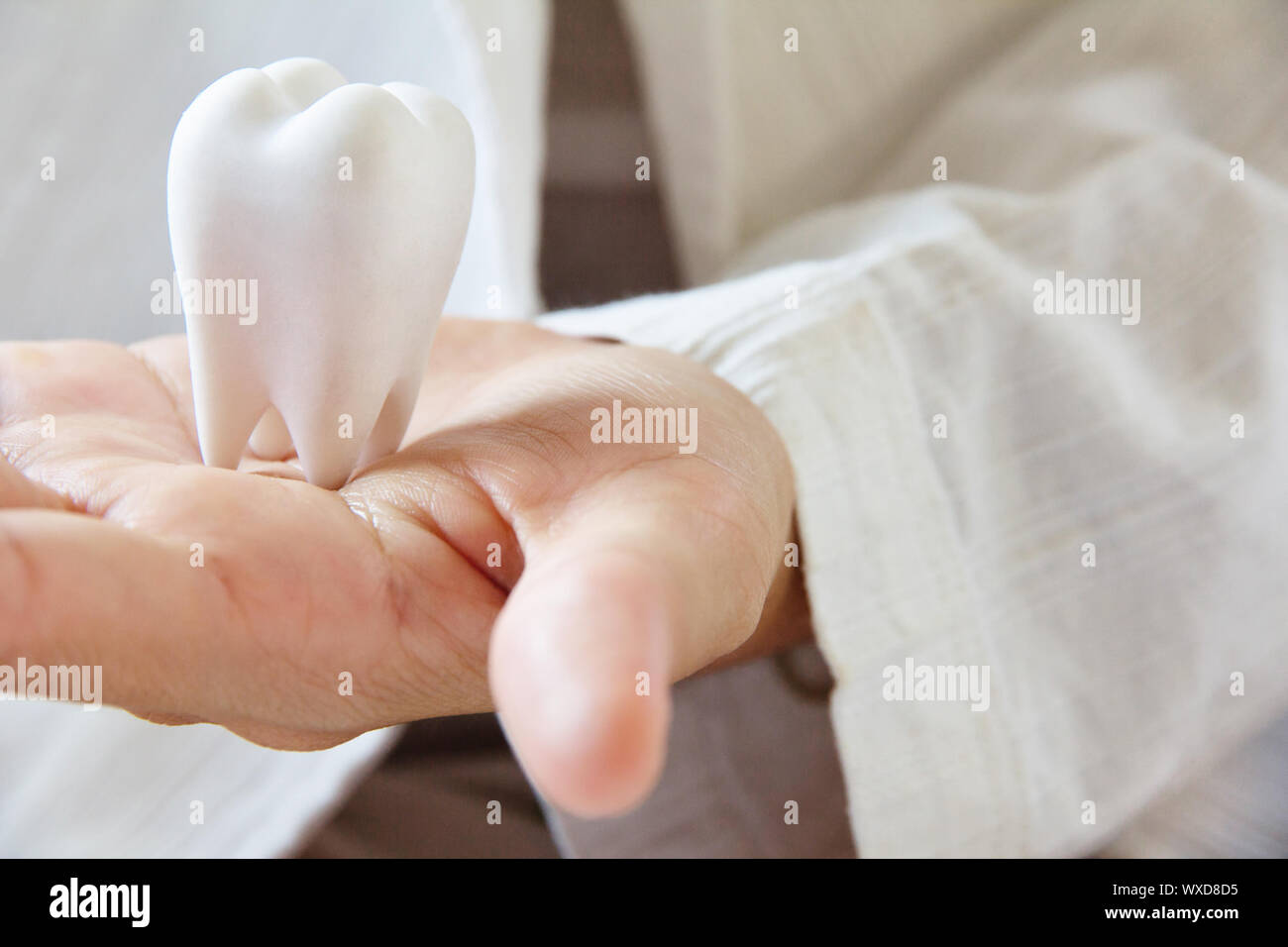 Hand holding molar hi-res stock photography and images - Alamy