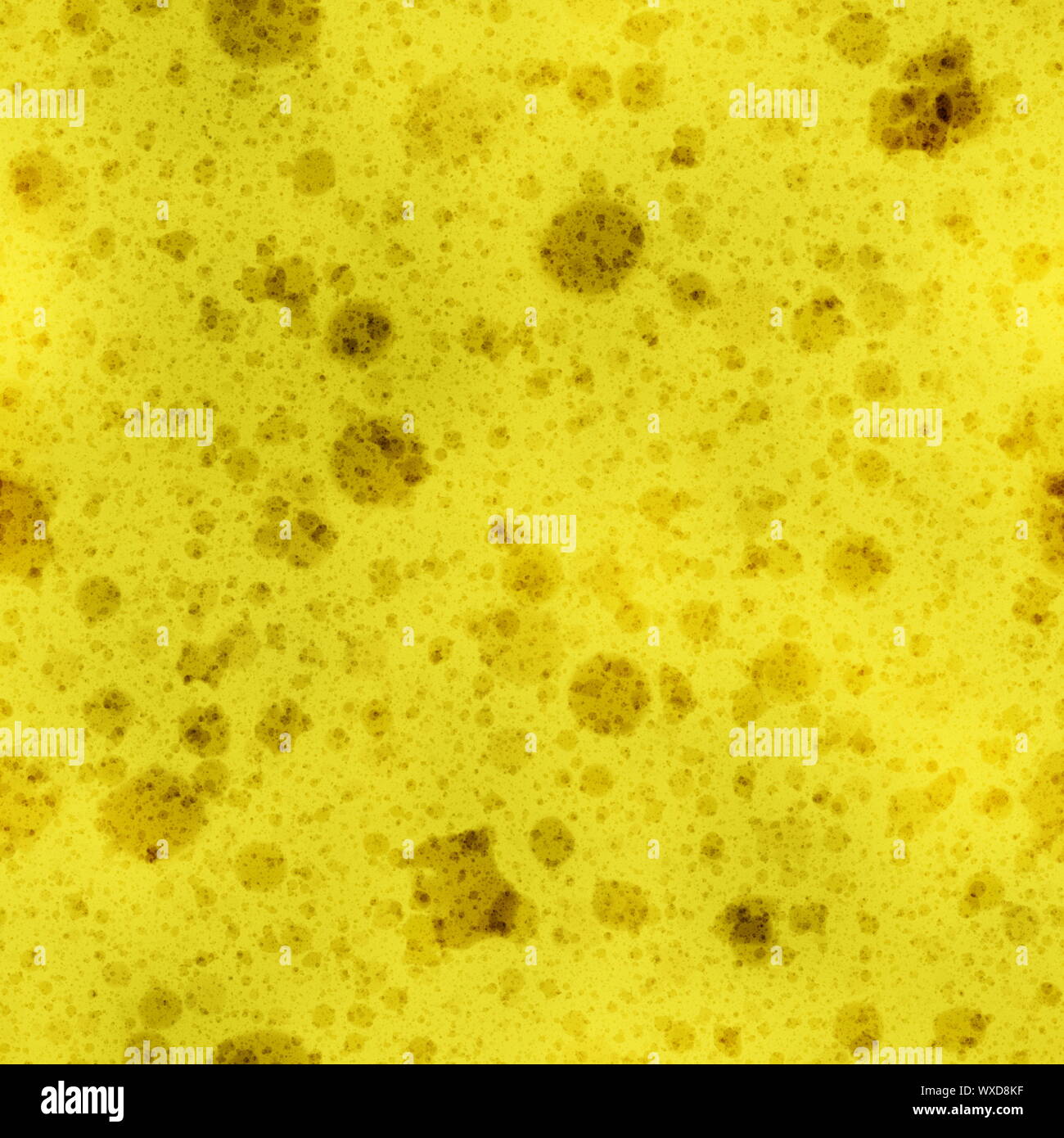 Seamless porous sponge texture hi-res stock photography and images - Alamy