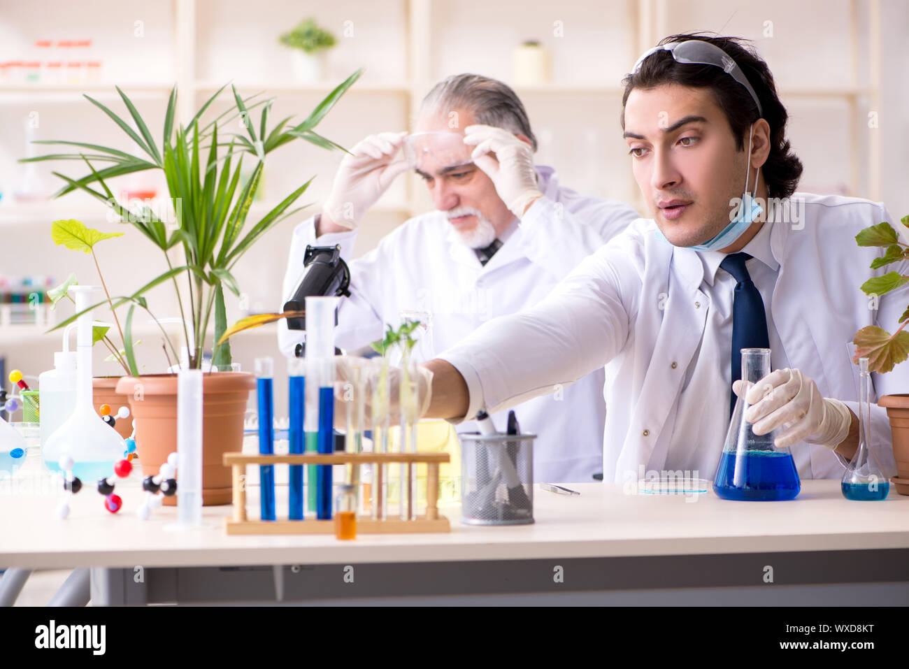 Two chemists working in the lab Stock Photo - Alamy