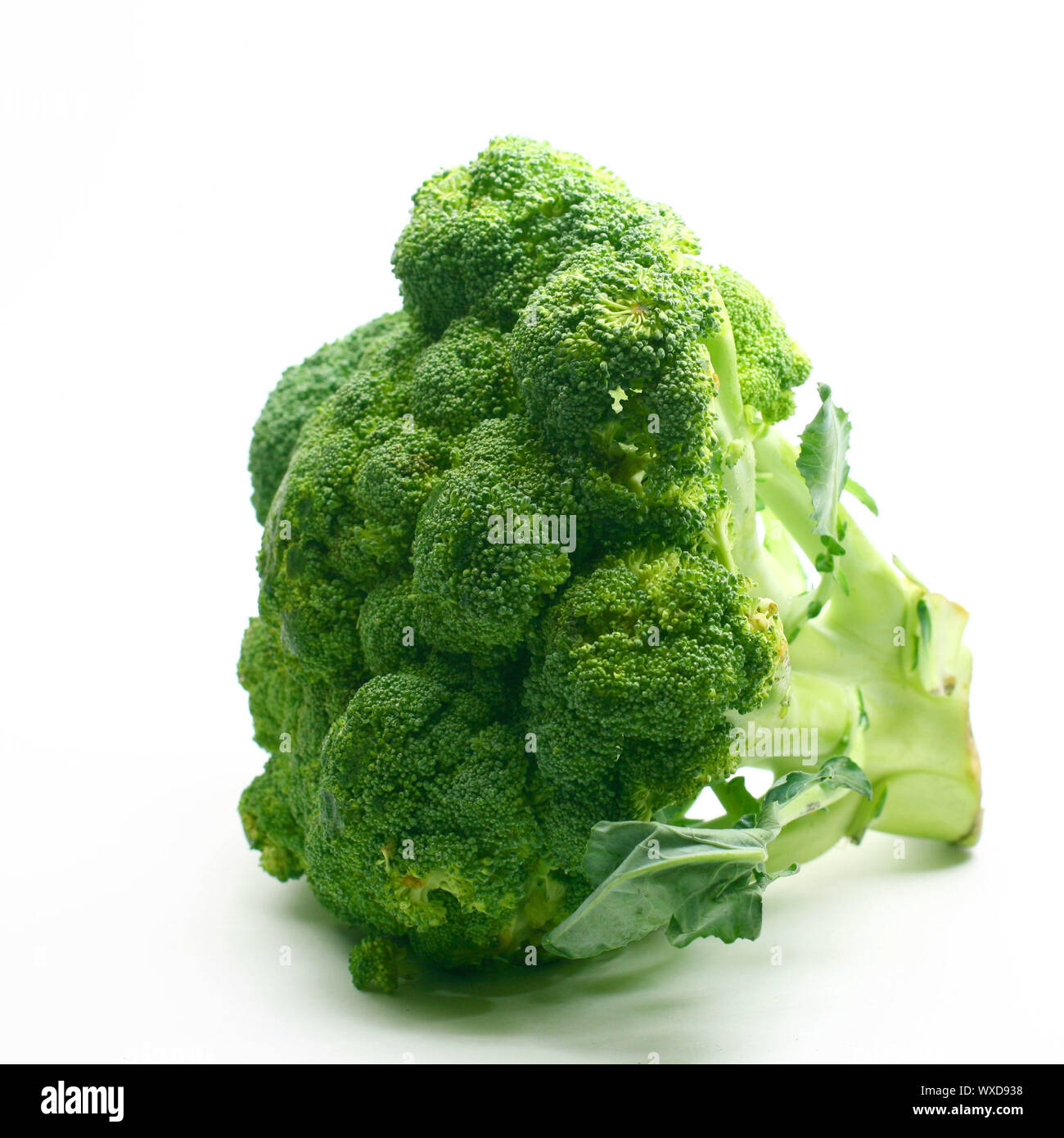 broccoli isolated on white background Stock Photo - Alamy