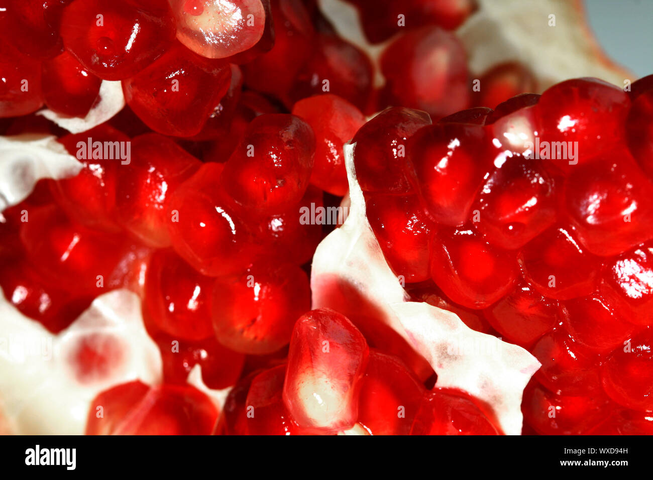 pomegranate macro close up on white background Stock Photo - Alamy