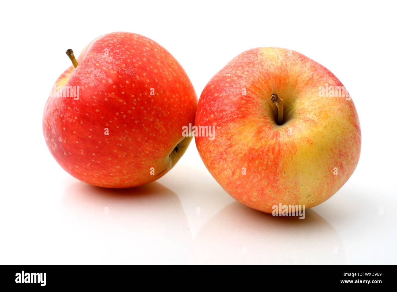 two apples isolated on white background Stock Photo - Alamy