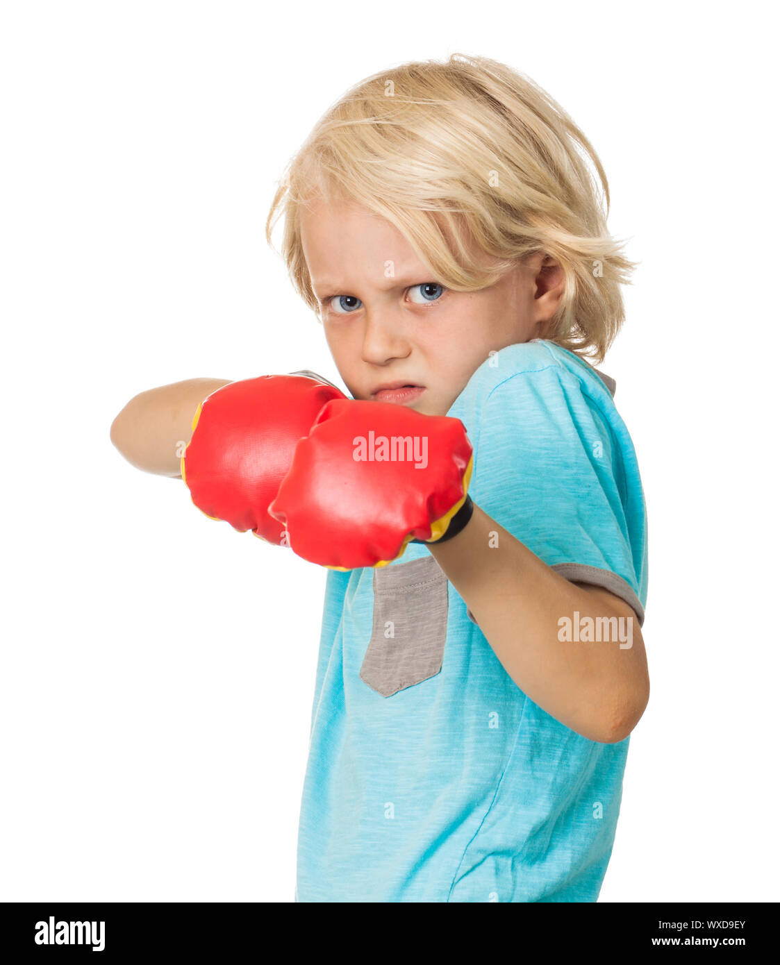 Box Boxer Fight Fighting Wearing Boxing Gloves Aggression High ...