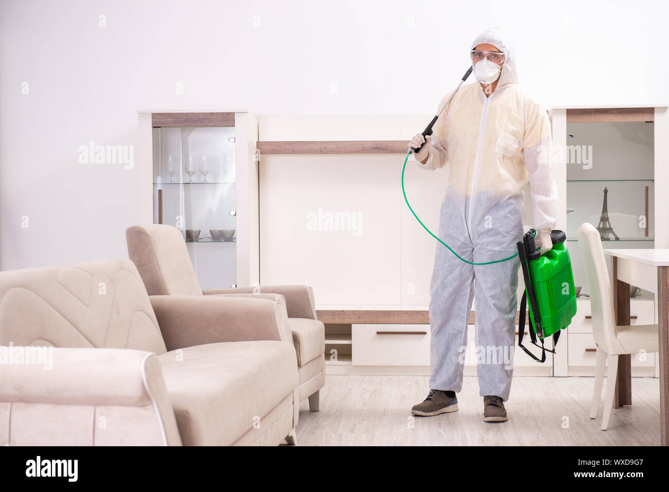 Pest control contractor working in the flat Stock Photo - Alamy