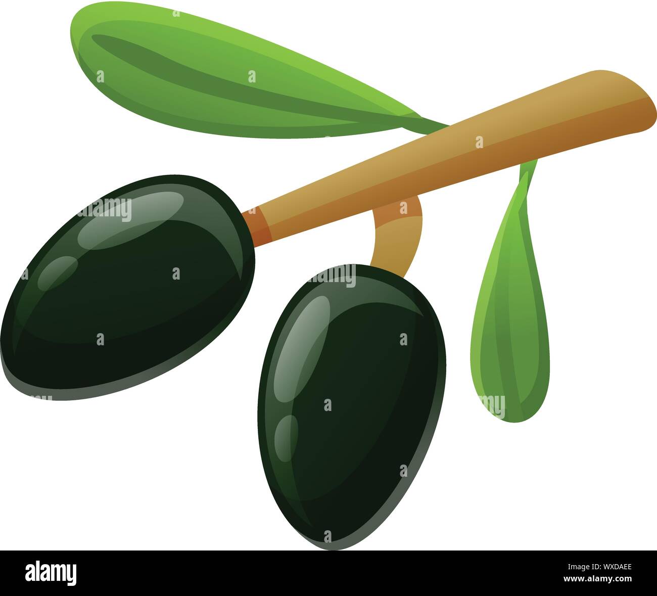 Black olive branch icon. Cartoon of black olive branch vector icon for ...