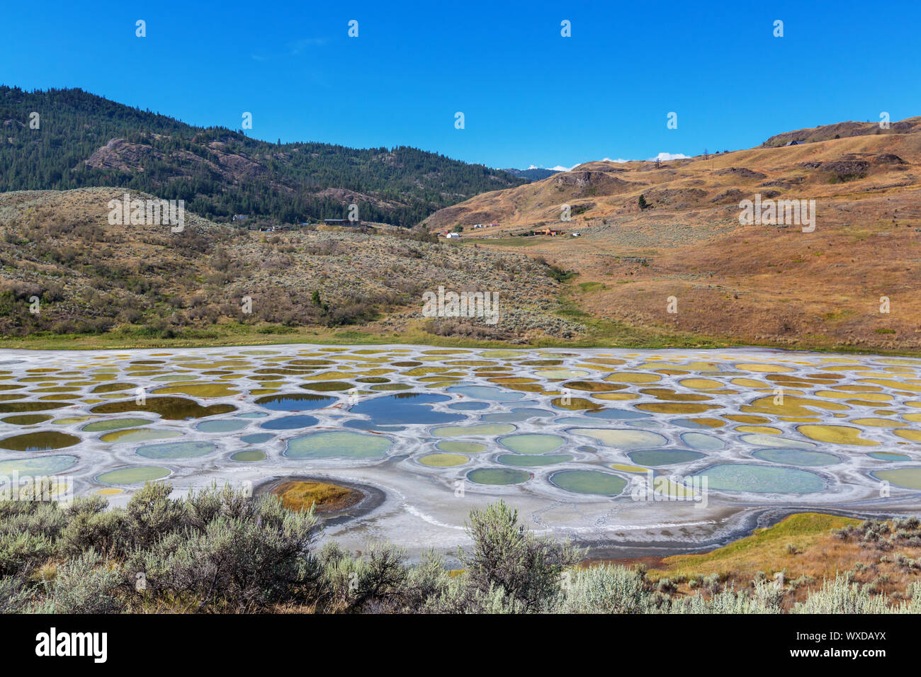 Spotted lake hi-res stock photography and images - Alamy