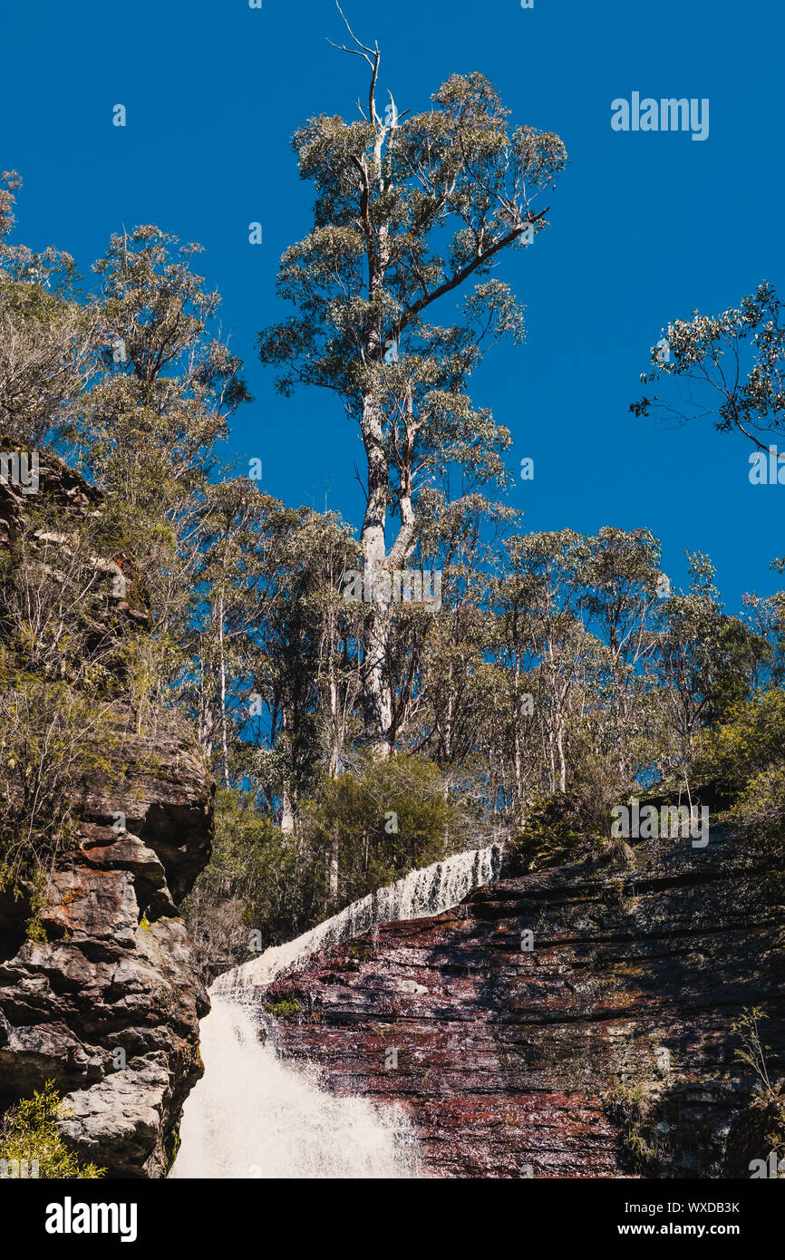 hidden waterfalls and wild Australian bush during a hike in Tasmania ...