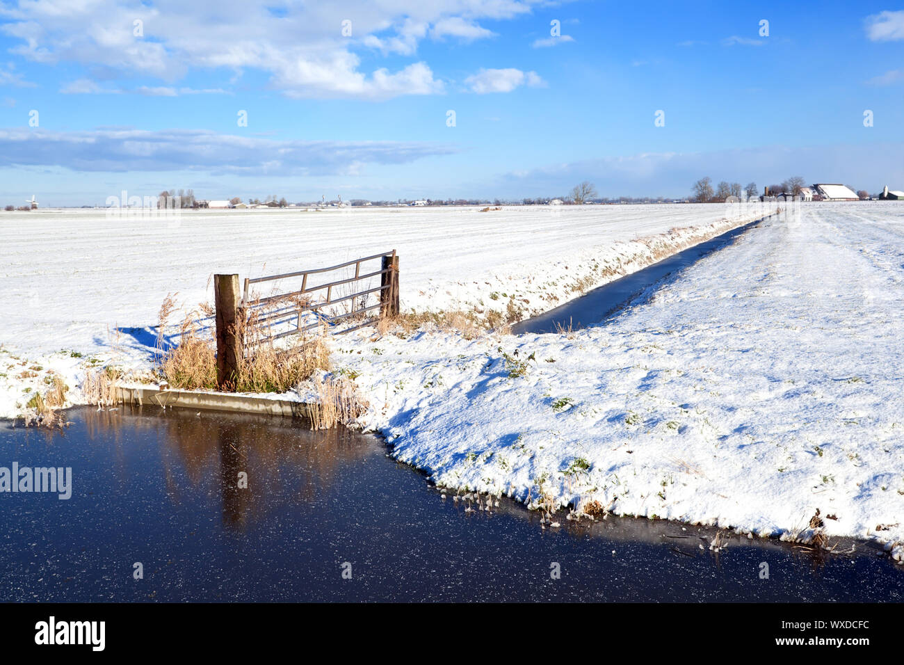 typical Dutch farmland in winter Stock Photo - Alamy