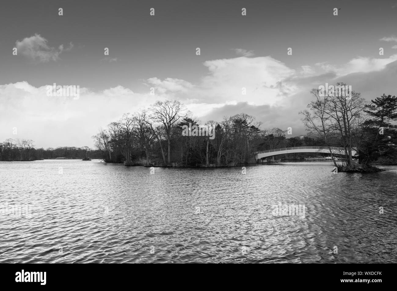 Onuma Koen Quasi -National park lake and silhouette trees in peaceful ...