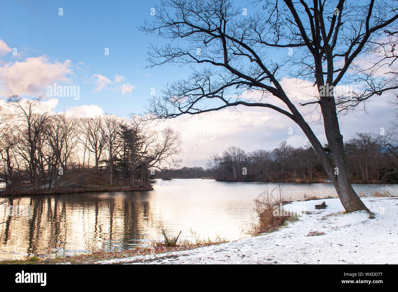 Onuma park hi-res stock photography and images - Alamy