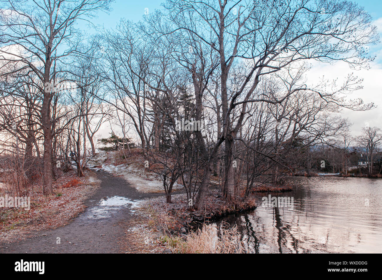 Onuma Koen Quasi -National park nature trail in peaceful cold winter ...