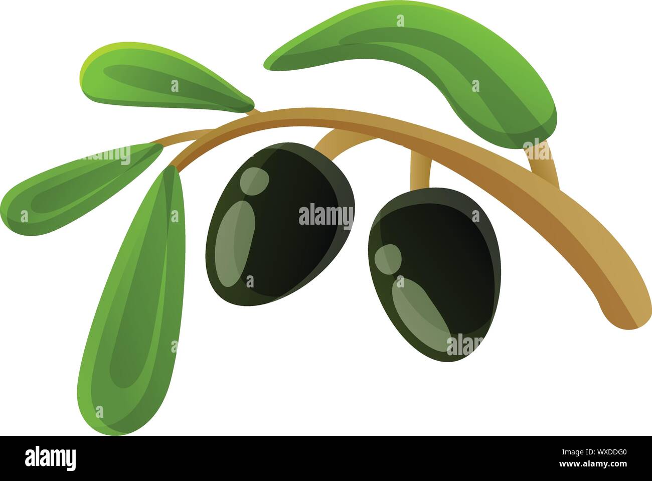 Greek olive branch icon. Cartoon of greek olive branch vector icon for ...