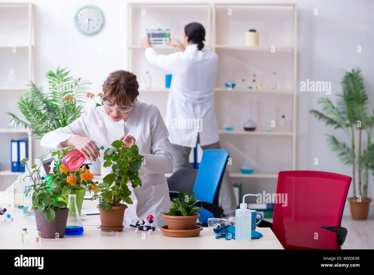 Two young botanist working in the lab Stock Photo - Alamy