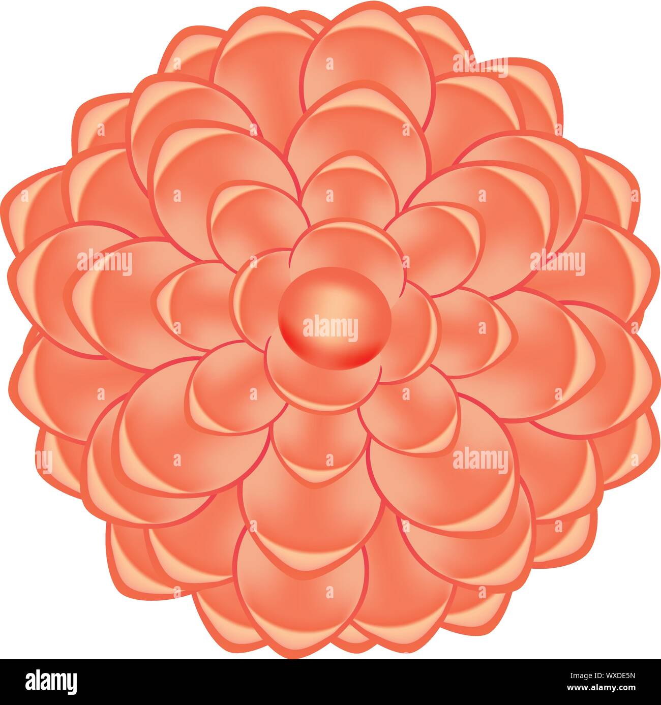 Spring red camellia icon. Cartoon of spring red camellia vector icon ...