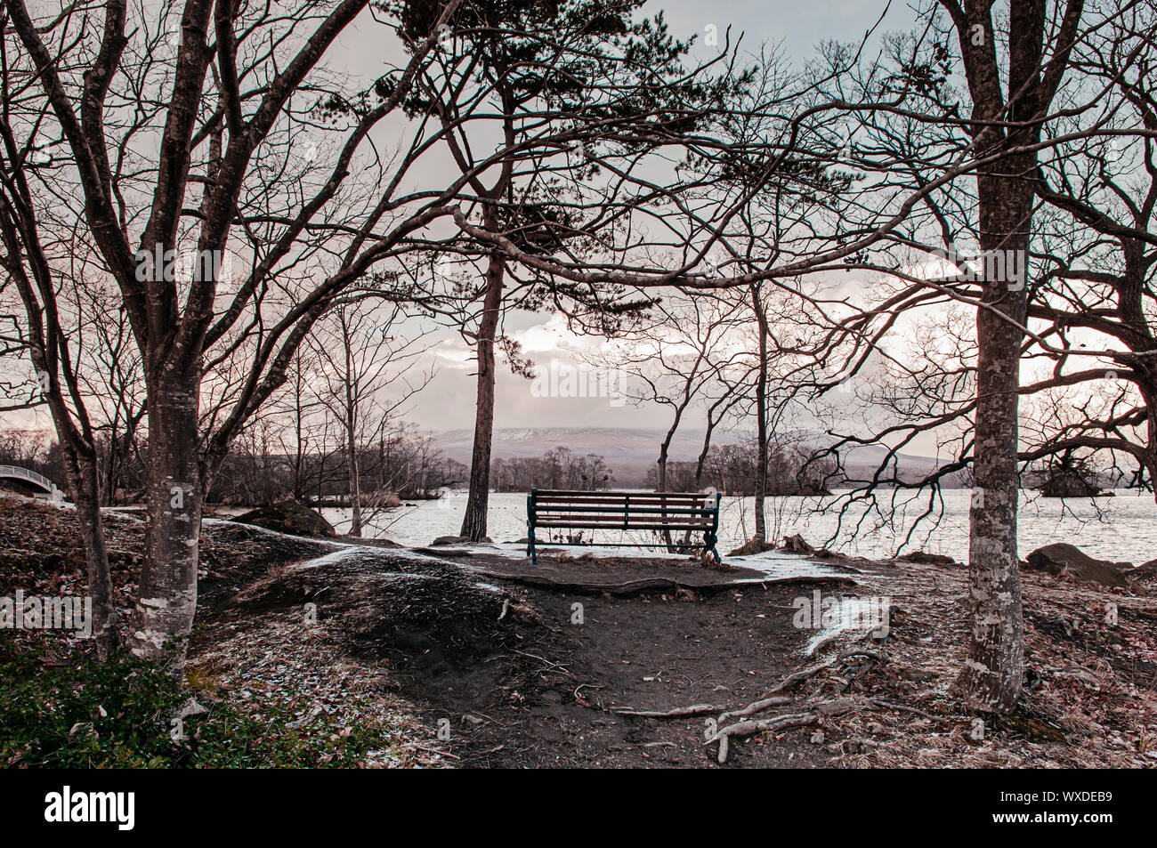 Onuma Koen Quasi -National park nature trail in peaceful cold winter ...