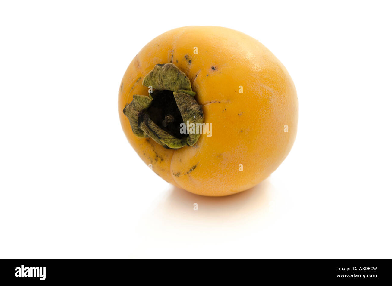 One persimmon isolated on a white background Stock Photo - Alamy
