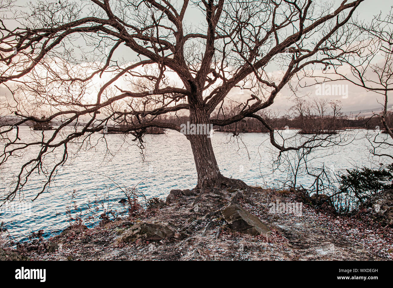 Onuma Koen Quasi -National park lake shore in peaceful cold winter with ...