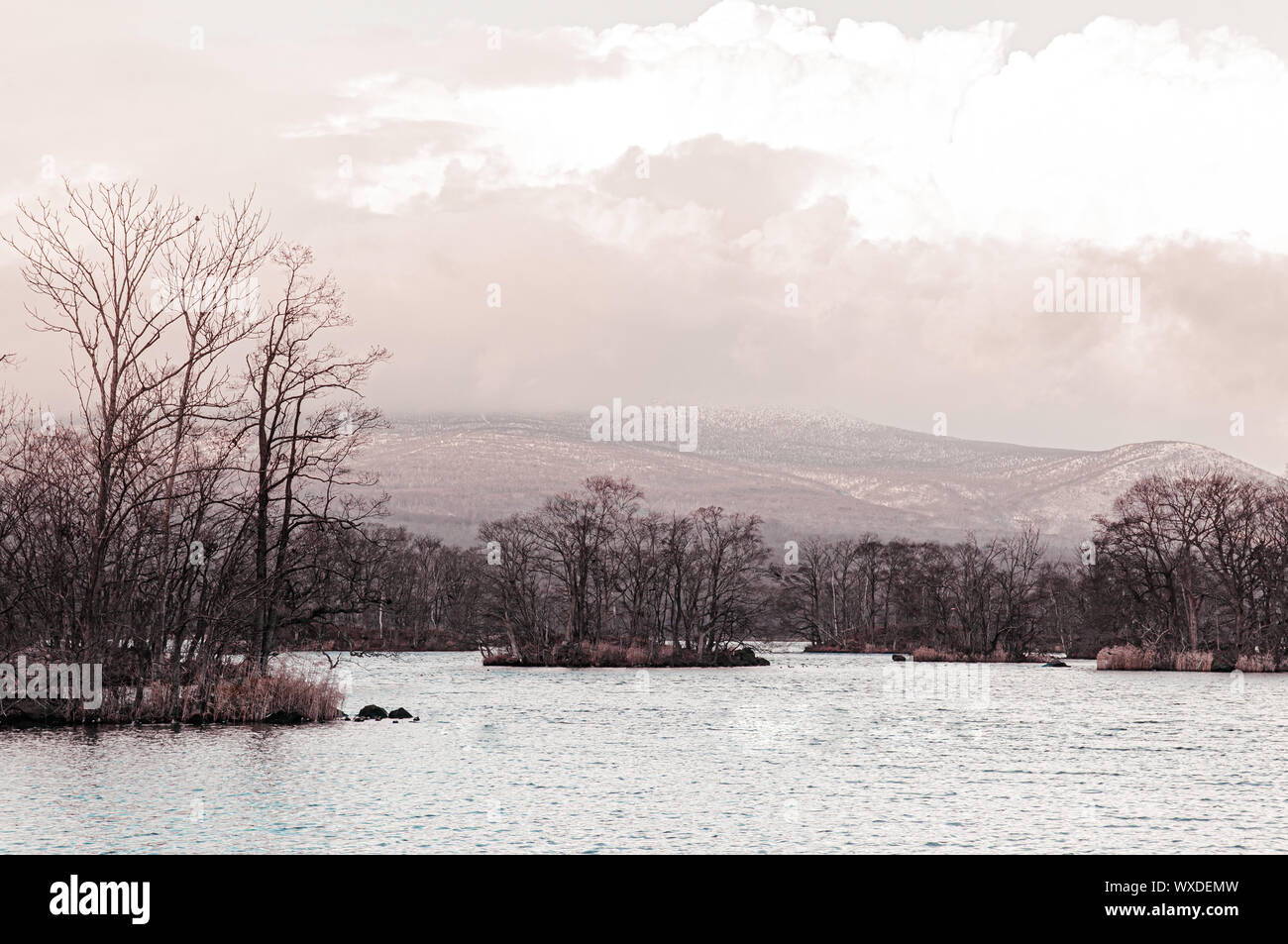 Onuma koen national park hi-res stock photography and images - Alamy
