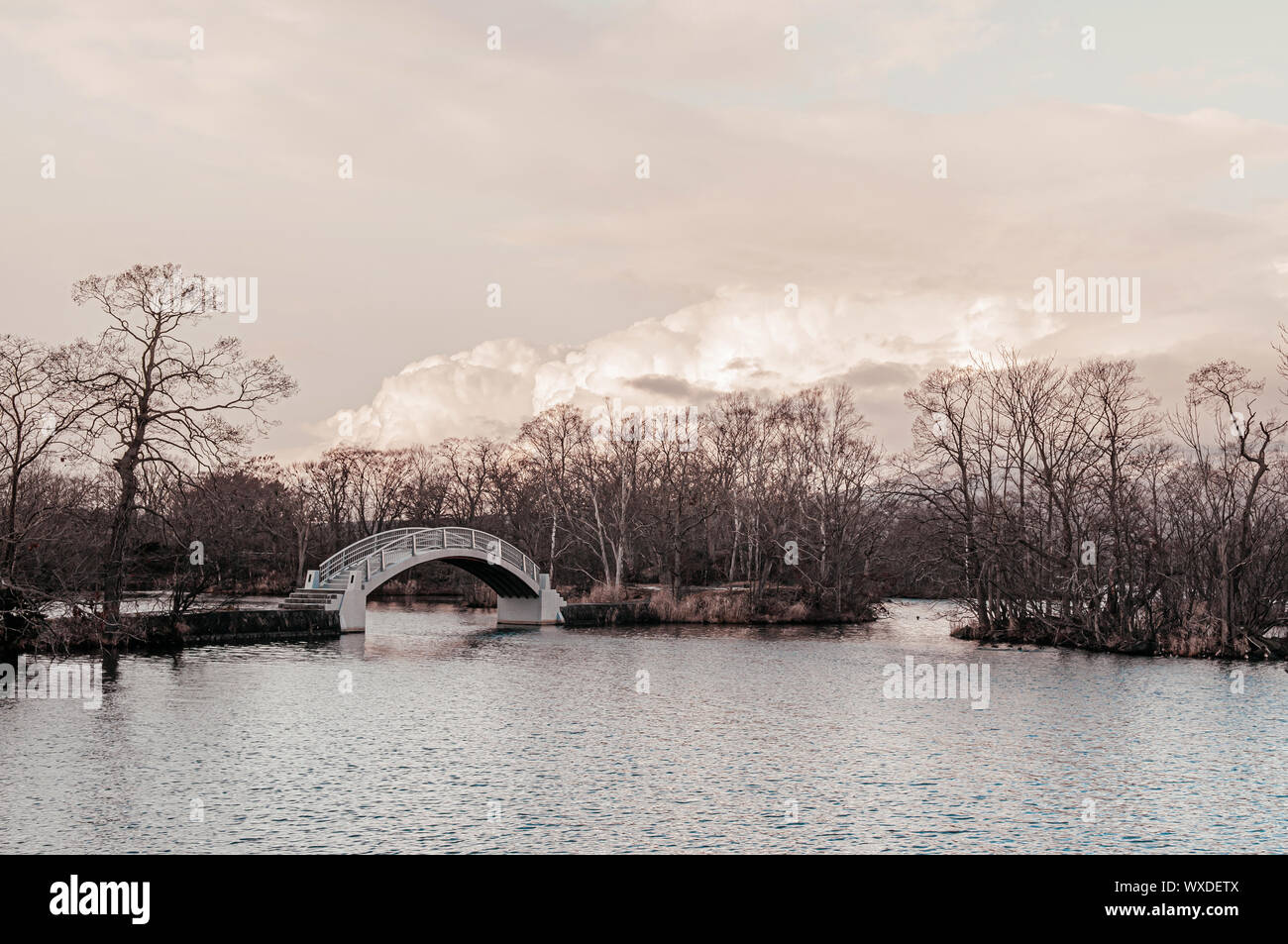 Onuma koen national park hi-res stock photography and images - Alamy