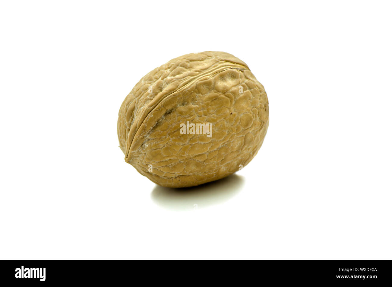 Whole walnut isolated on a white background Stock Photo - Alamy