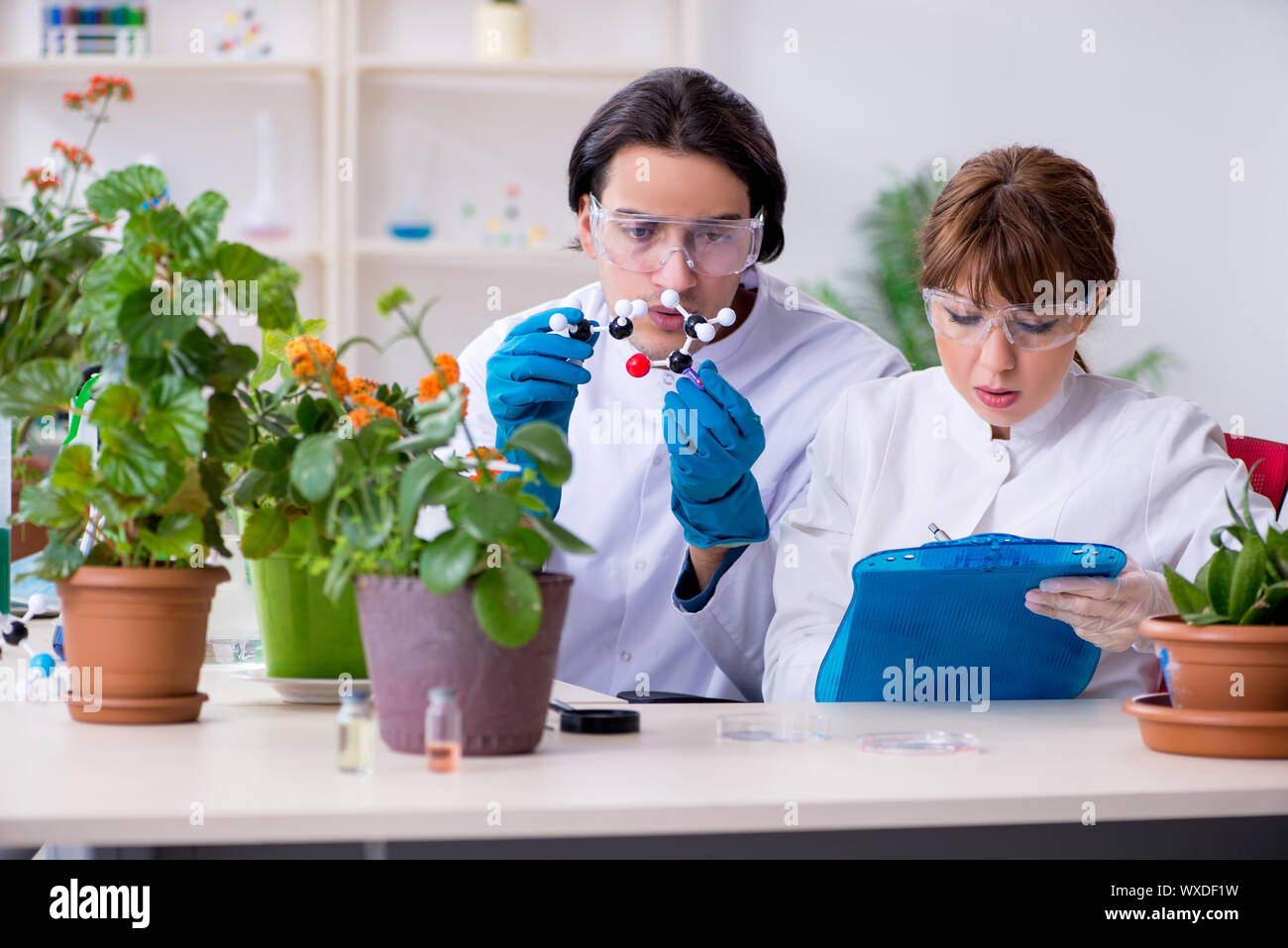 Two young botanist working in the lab Stock Photo - Alamy