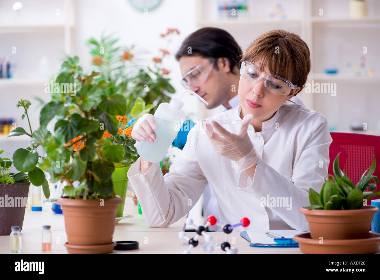 Two young botanist working in the lab Stock Photo - Alamy