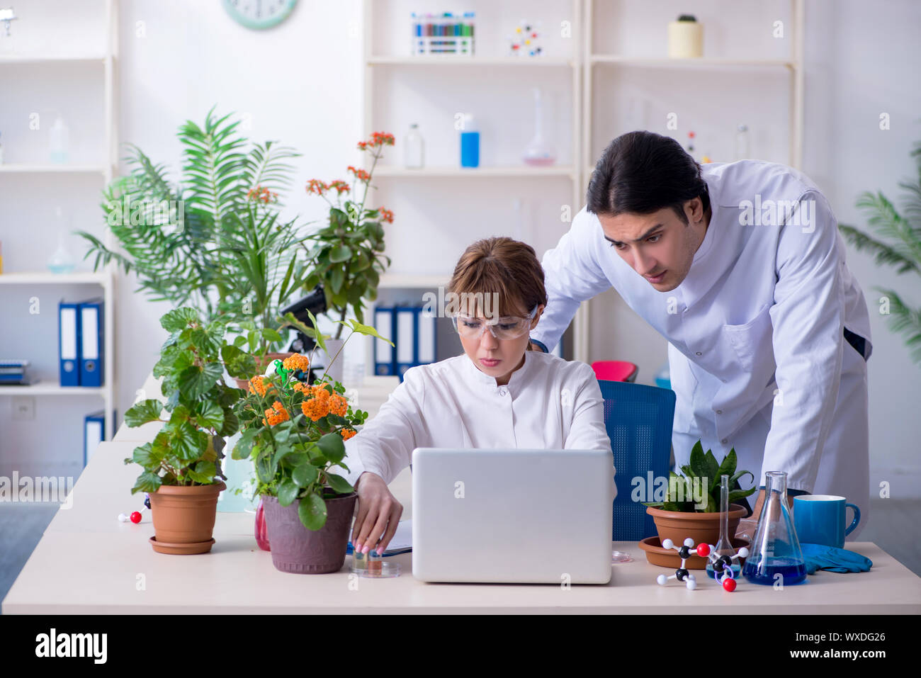 Two young botanist working in the lab Stock Photo - Alamy