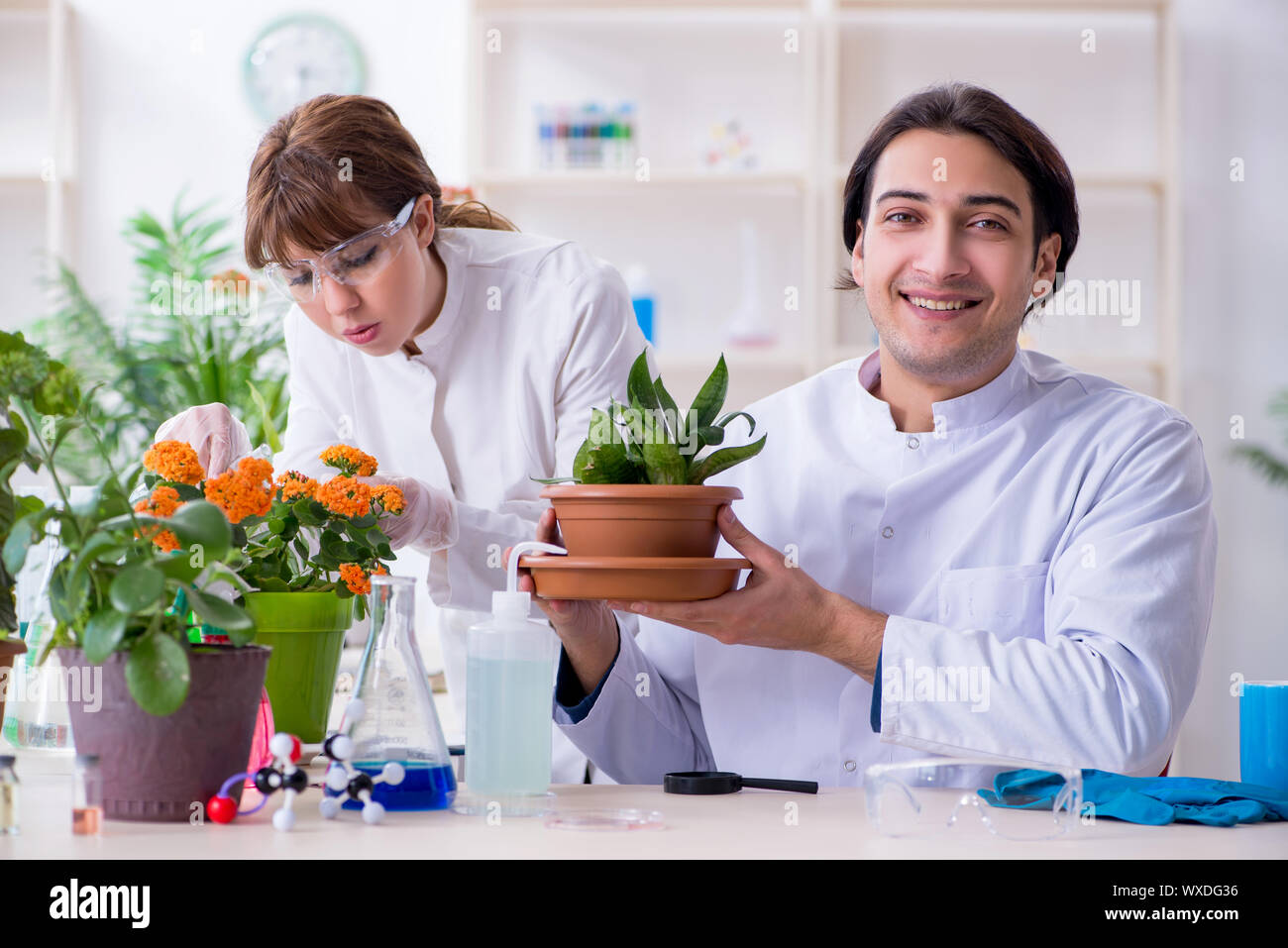 Botanical lab hi-res stock photography and images - Alamy