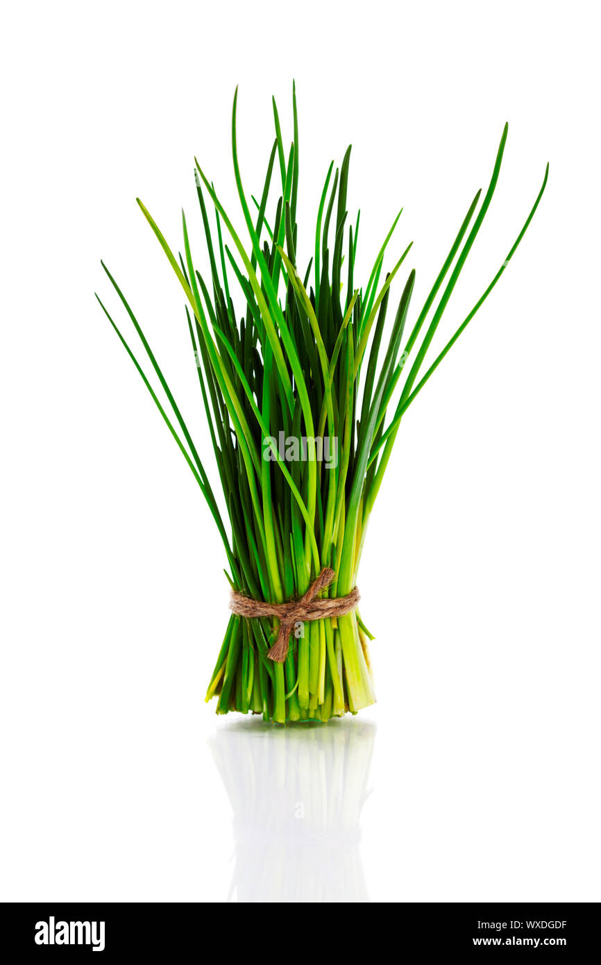 A bunch of fresh chives over white Stock Photo - Alamy