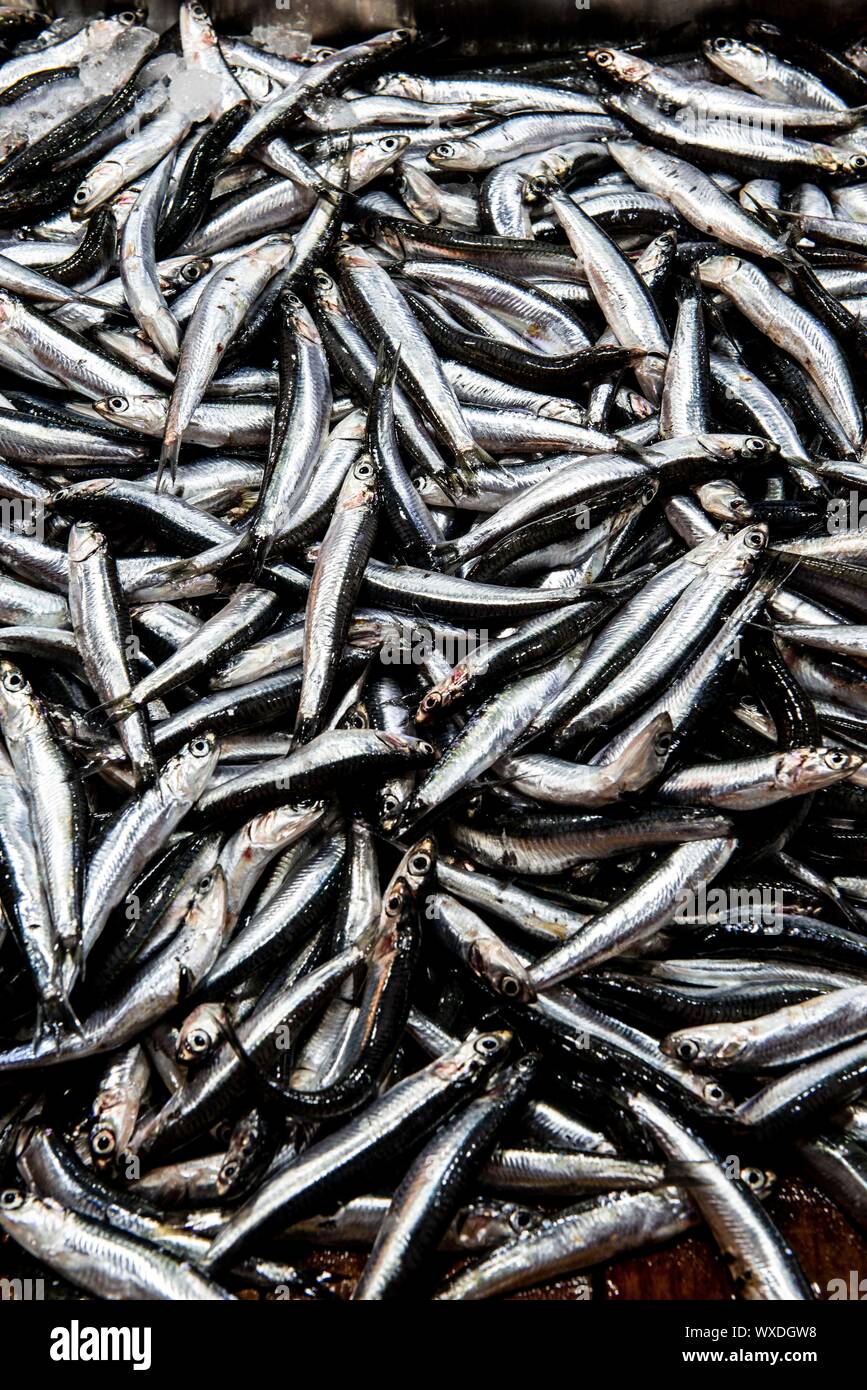 fresh mediterranean market fish Stock Photo - Alamy