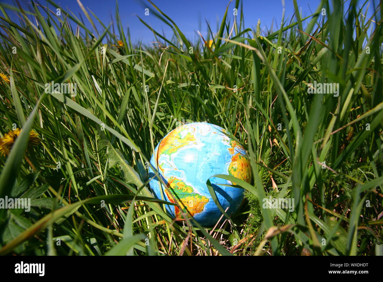 globe of planet earth in green grass Stock Photo - Alamy