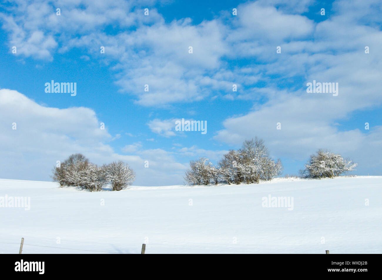 beautiful sunny landscape in winter with blue sky and snow Stock Photo ...