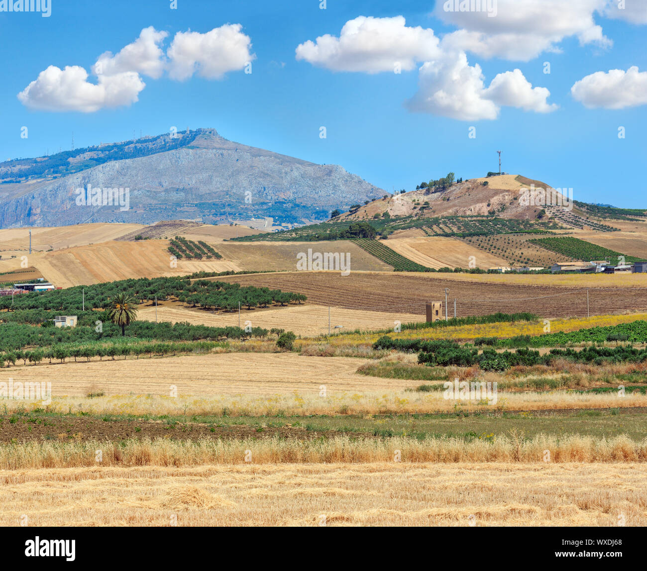 Sicily summer agriculture countryside, Italy Stock Photo - Alamy