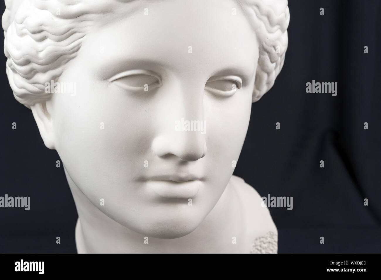 White gypsum copy of ancient statue Venus head on a black background ...